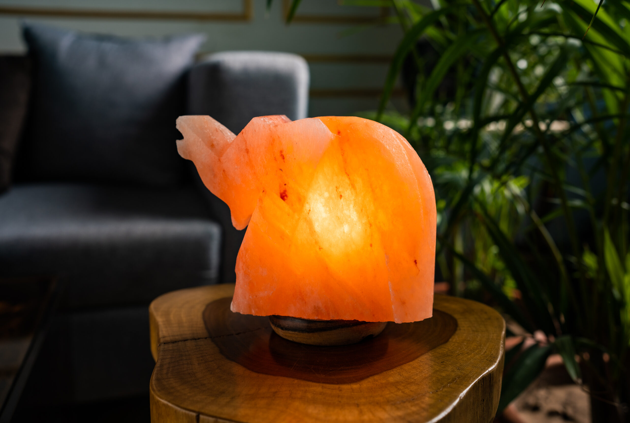 Elephant Bulb Lamp - PPI Foods